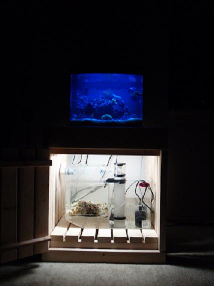Refugium and Biocube - Members Gallery - Austin Reef Club