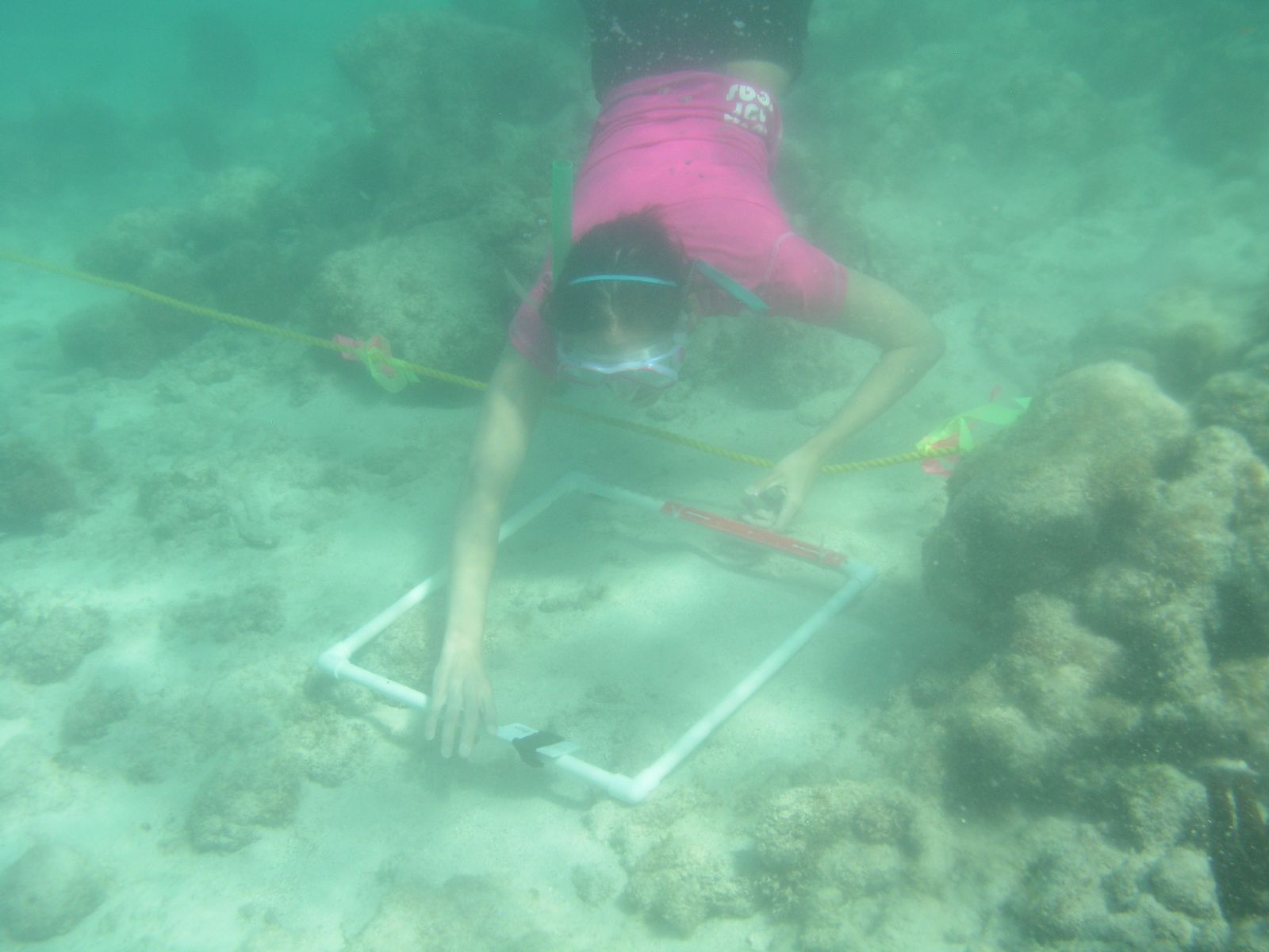 Marine Biologist Extraordinaire Austin Reef Club Marine Biologist Extraordinaire Austin Reef Club