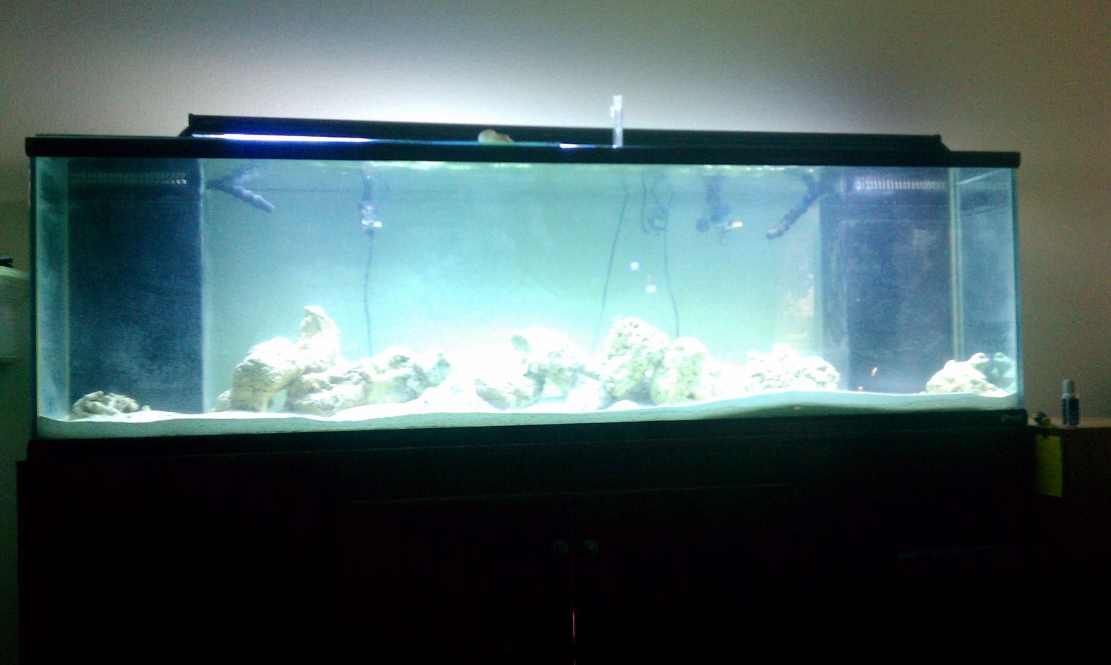 210 Gallon tank - Members Gallery - Austin Reef Club