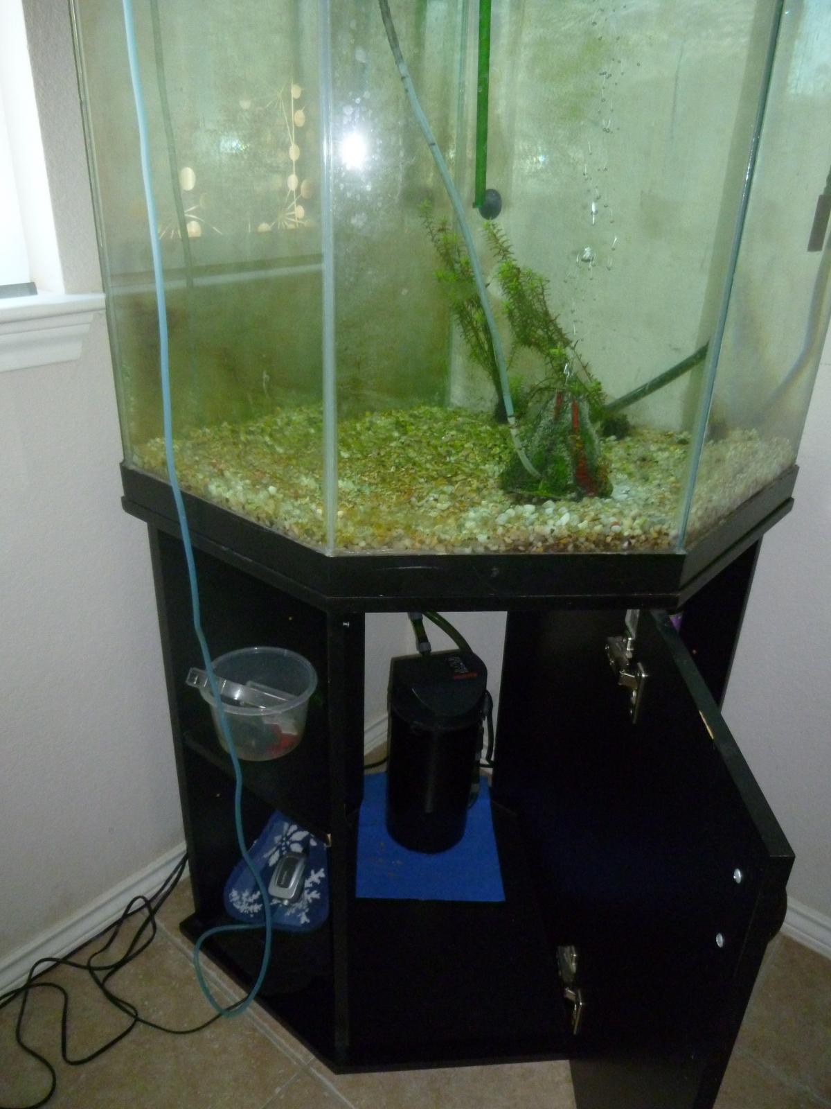 55G 5-sided "Diamond" corner tank *** SOLD *** - Hardware - Austin Reef ...