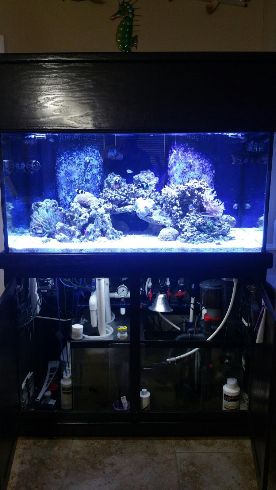 120G complete reef tank "must sell" - Complete Systems - Austin Reef Club
