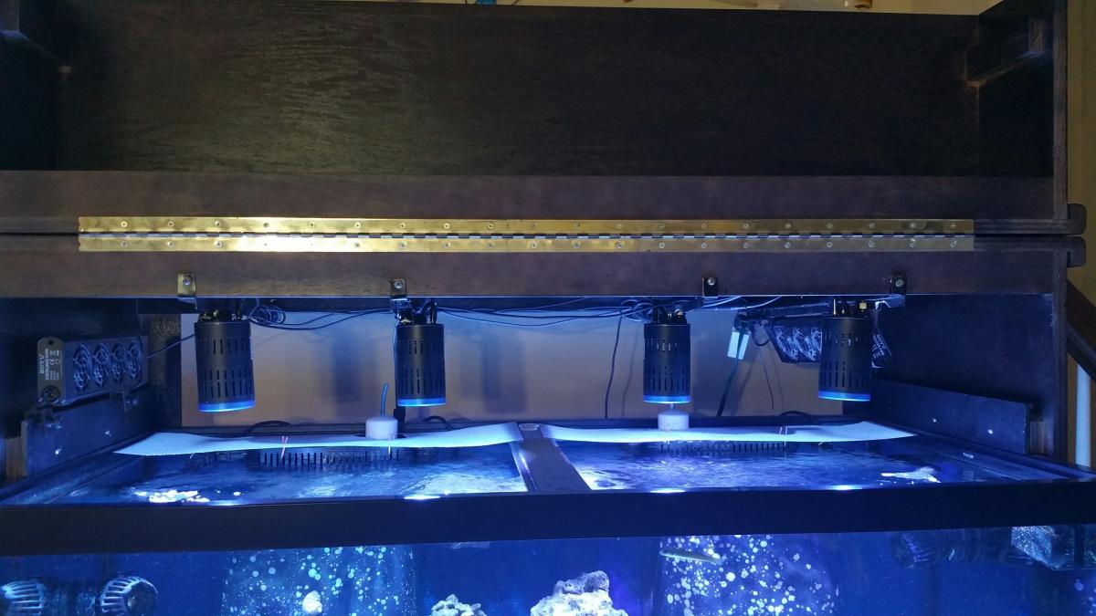 120G complete reef tank "must sell" - Complete Systems - Austin Reef Club