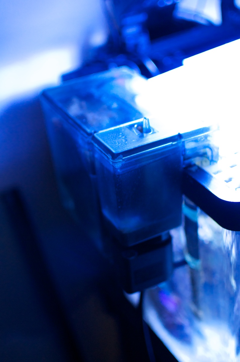 SOLD: Upgraded Oceanic 14-Gallon BioCube with 150w Metal Halide ...