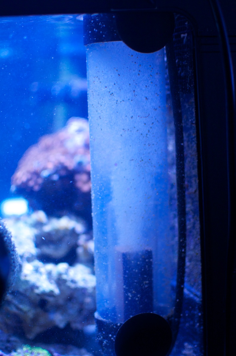 SOLD: Upgraded Oceanic 14-Gallon BioCube with 150w Metal Halide ...