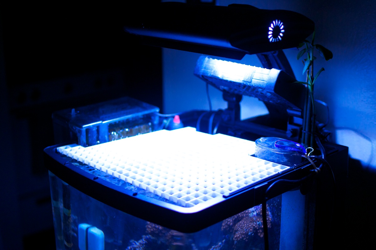 SOLD: Upgraded Oceanic 14-Gallon BioCube with 150w Metal Halide ...