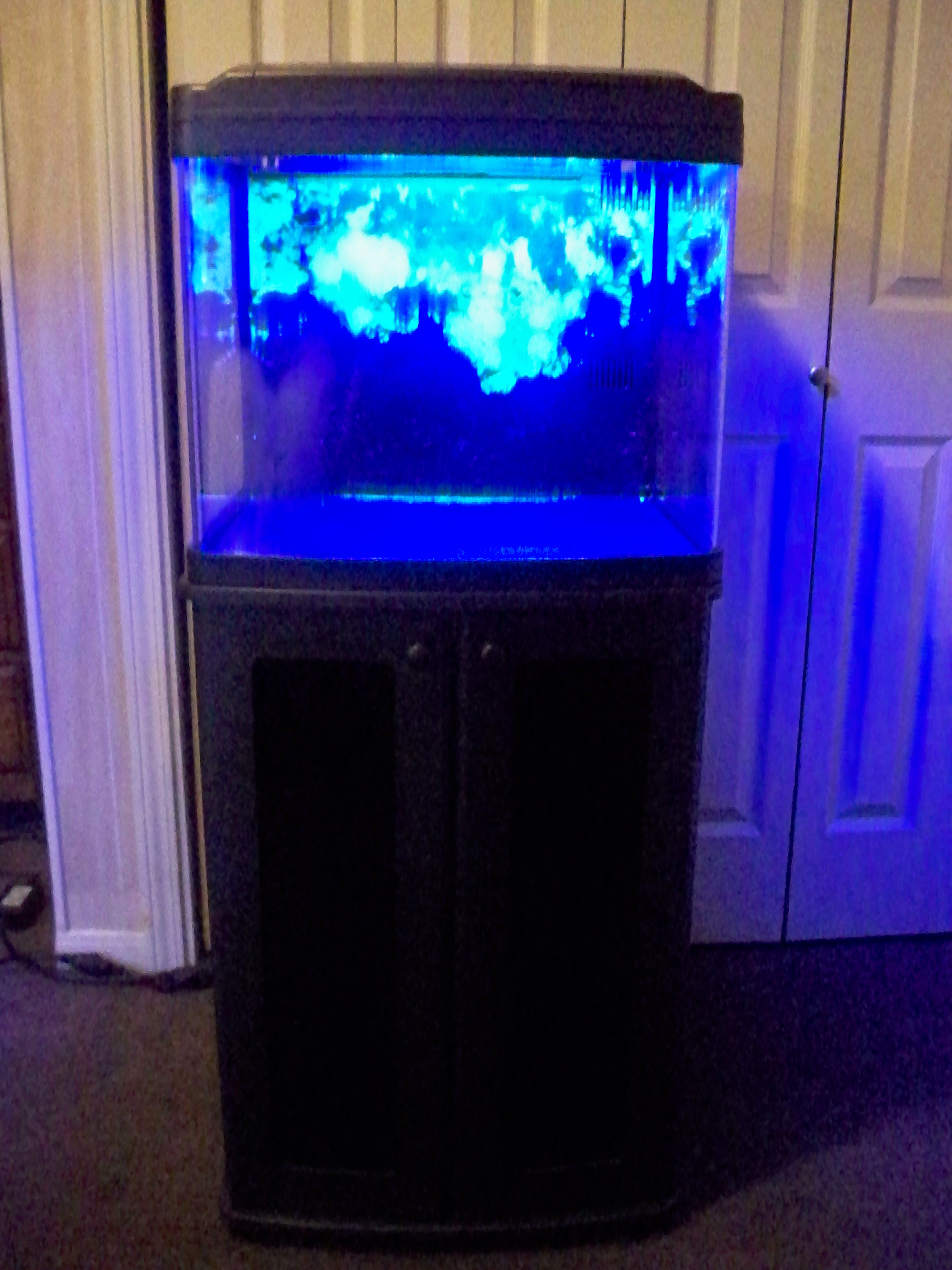 29 gallon biocube w/stand - Complete Systems - Austin Reef Club