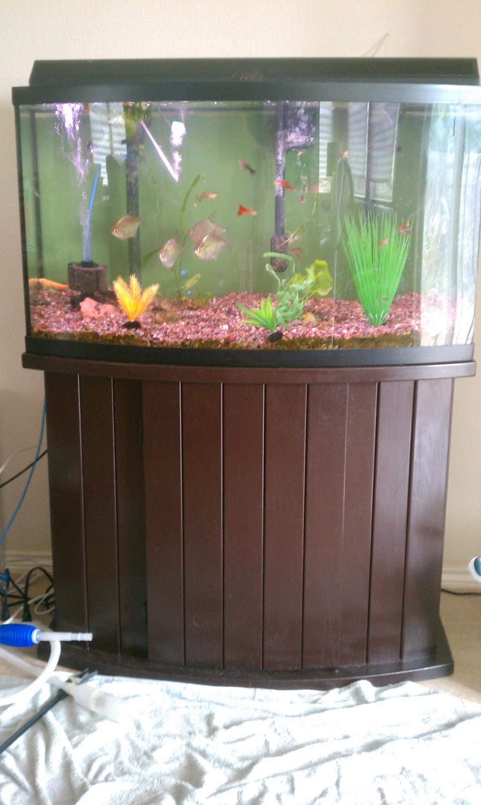 46 Gallon bow front tank, stand, and filtration - $100 - Complete ...