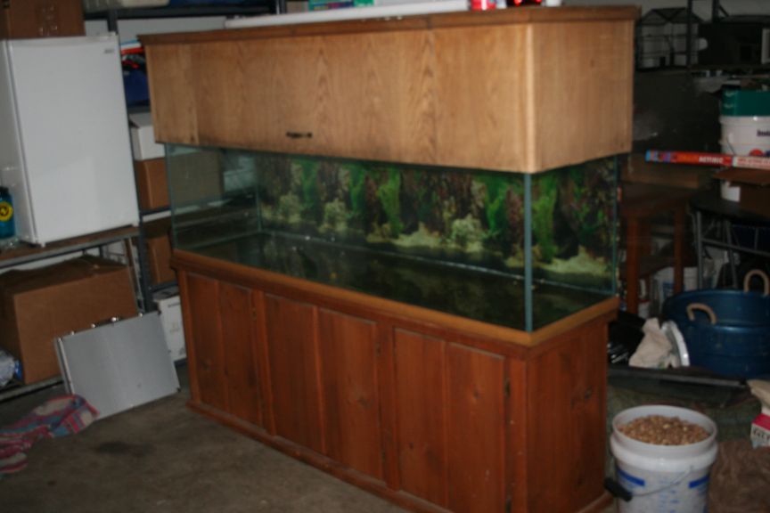 125 gallon aquarium, stand, and extras - Hardware - Austin Reef Club