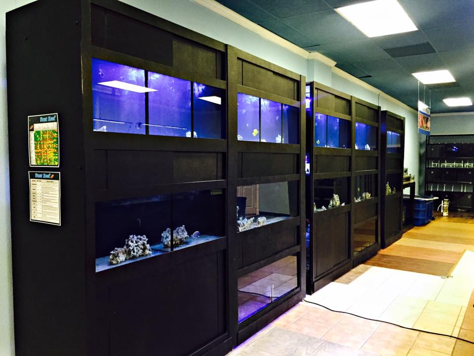 NOW OPEN "Just Reef" Aquatic Store!!! - Just Reef - Austin Reef Club