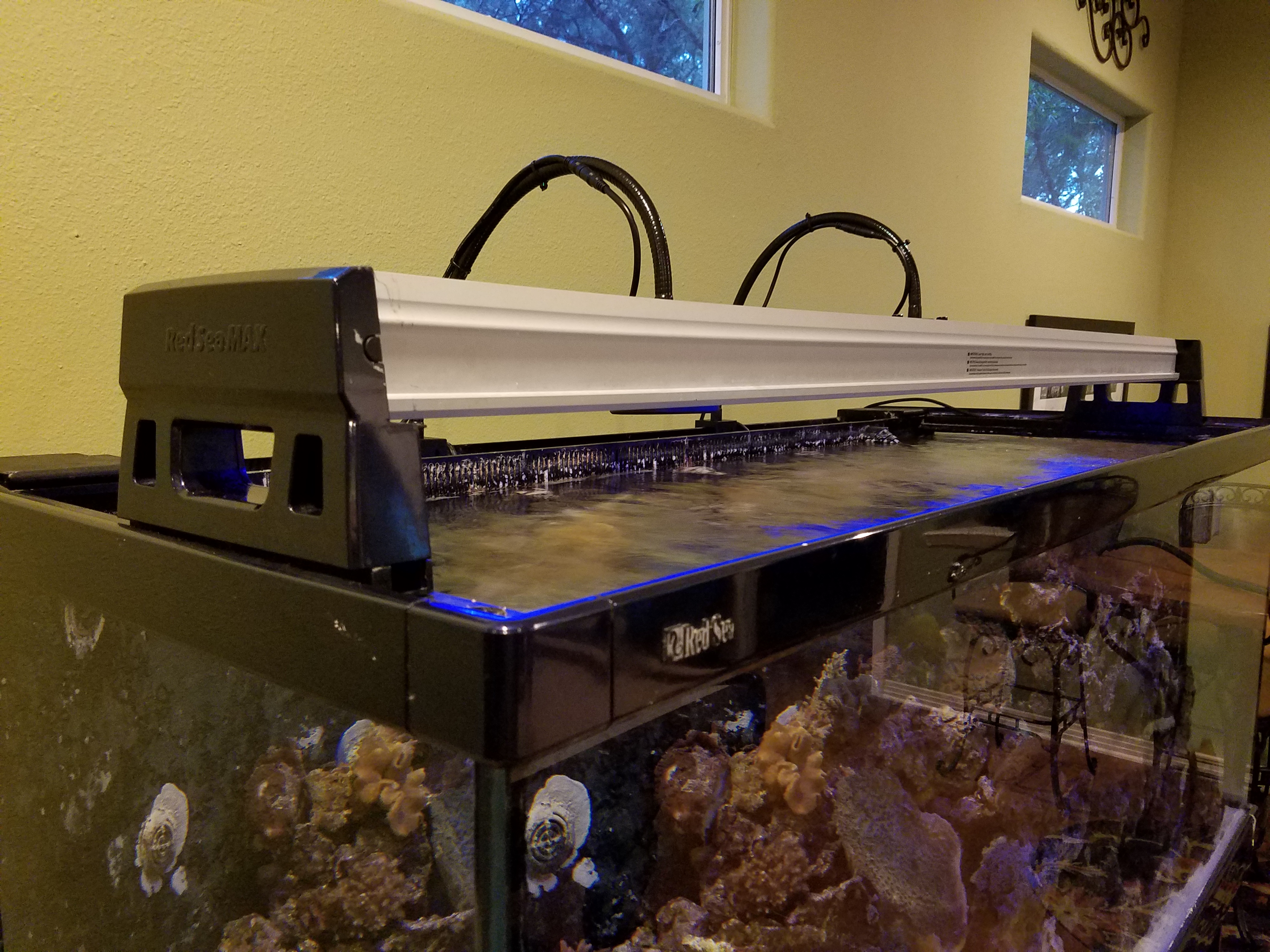 Todd's Red Sea Max 650 Remodel - Tank Builds - Austin Reef Club