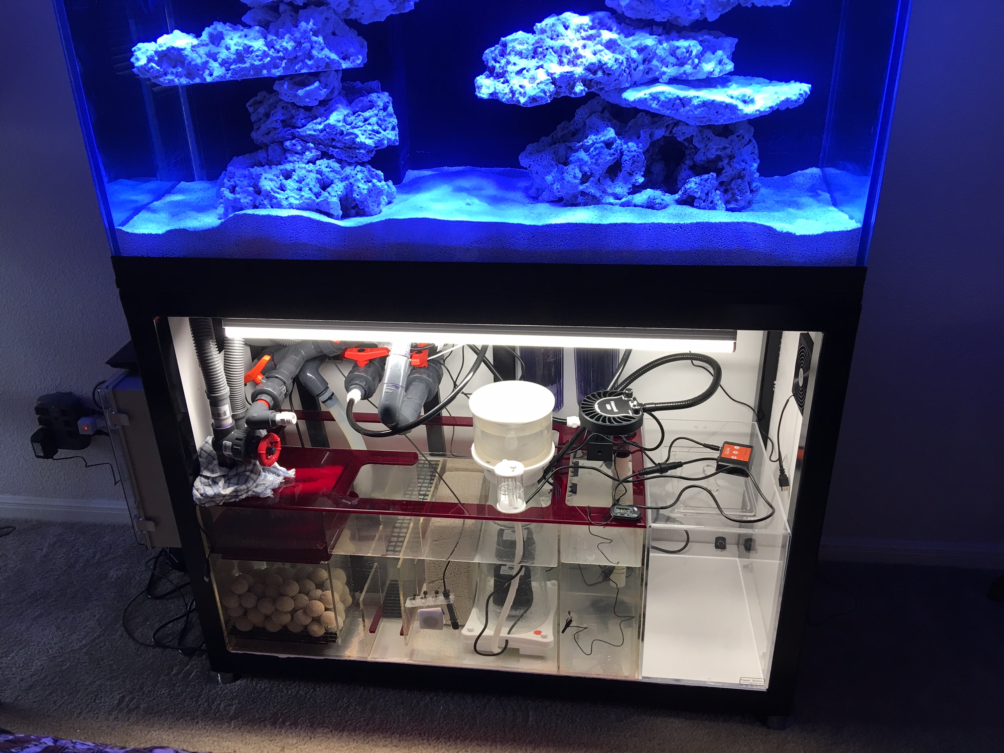 120 tall build - Page 3 - Tank Builds - Austin Reef Club