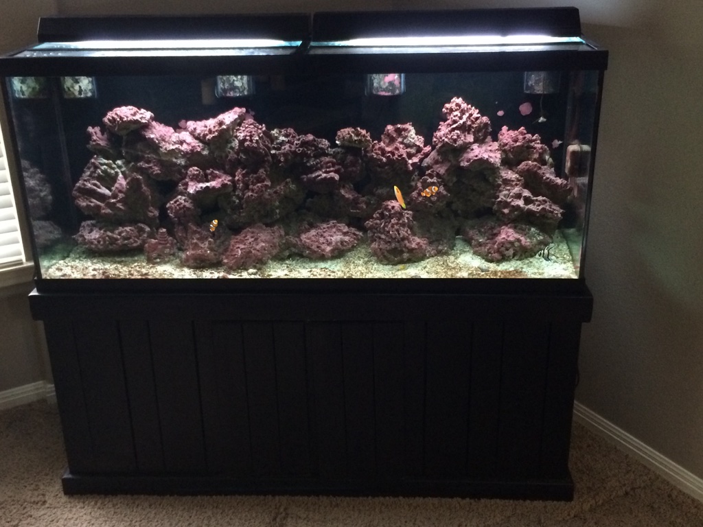 120 Gallon Tank - full setup $900 - SOLD - Complete Systems - Austin ...