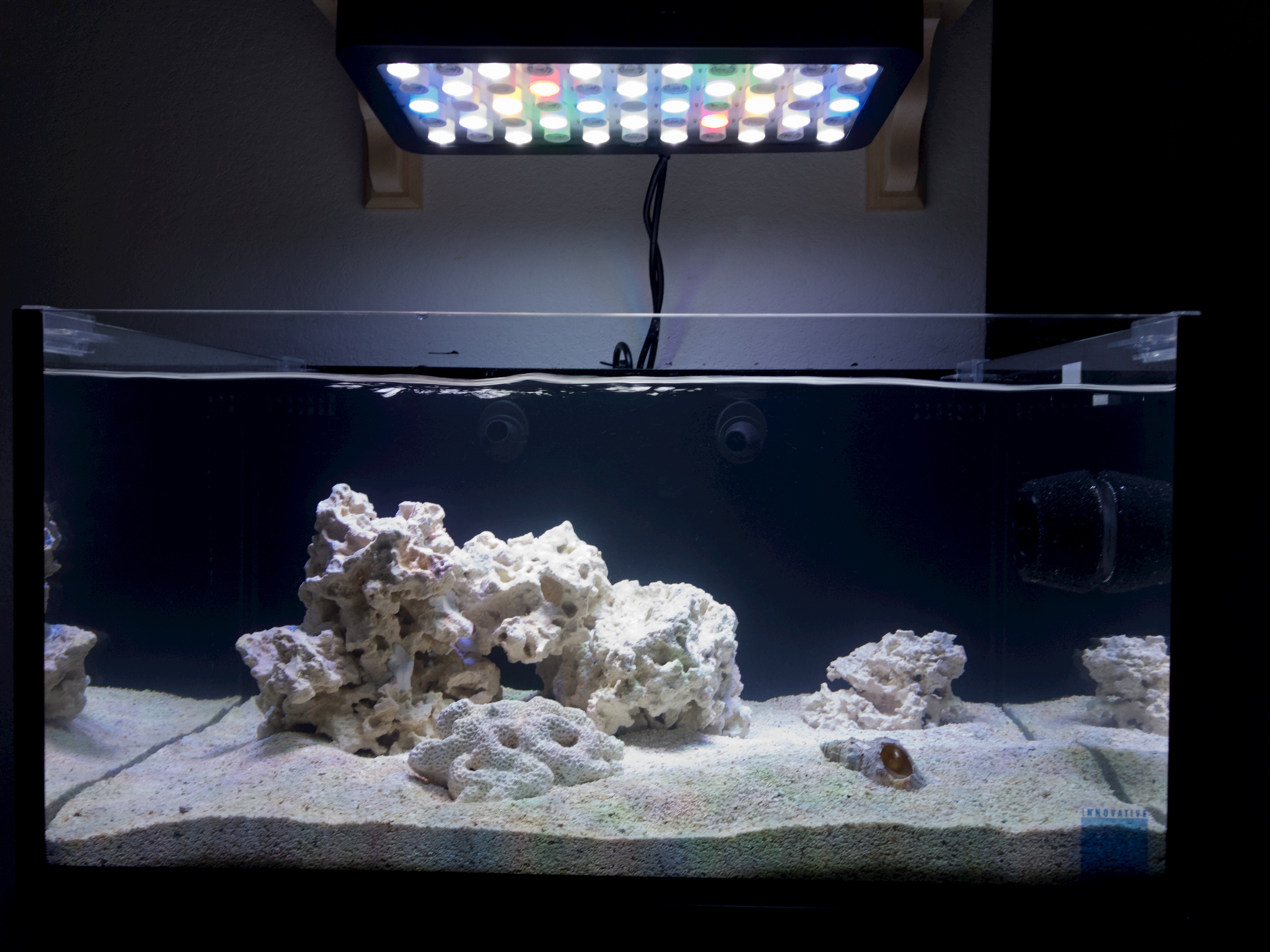 25 Lagoon Build - Tank Builds - Austin Reef Club