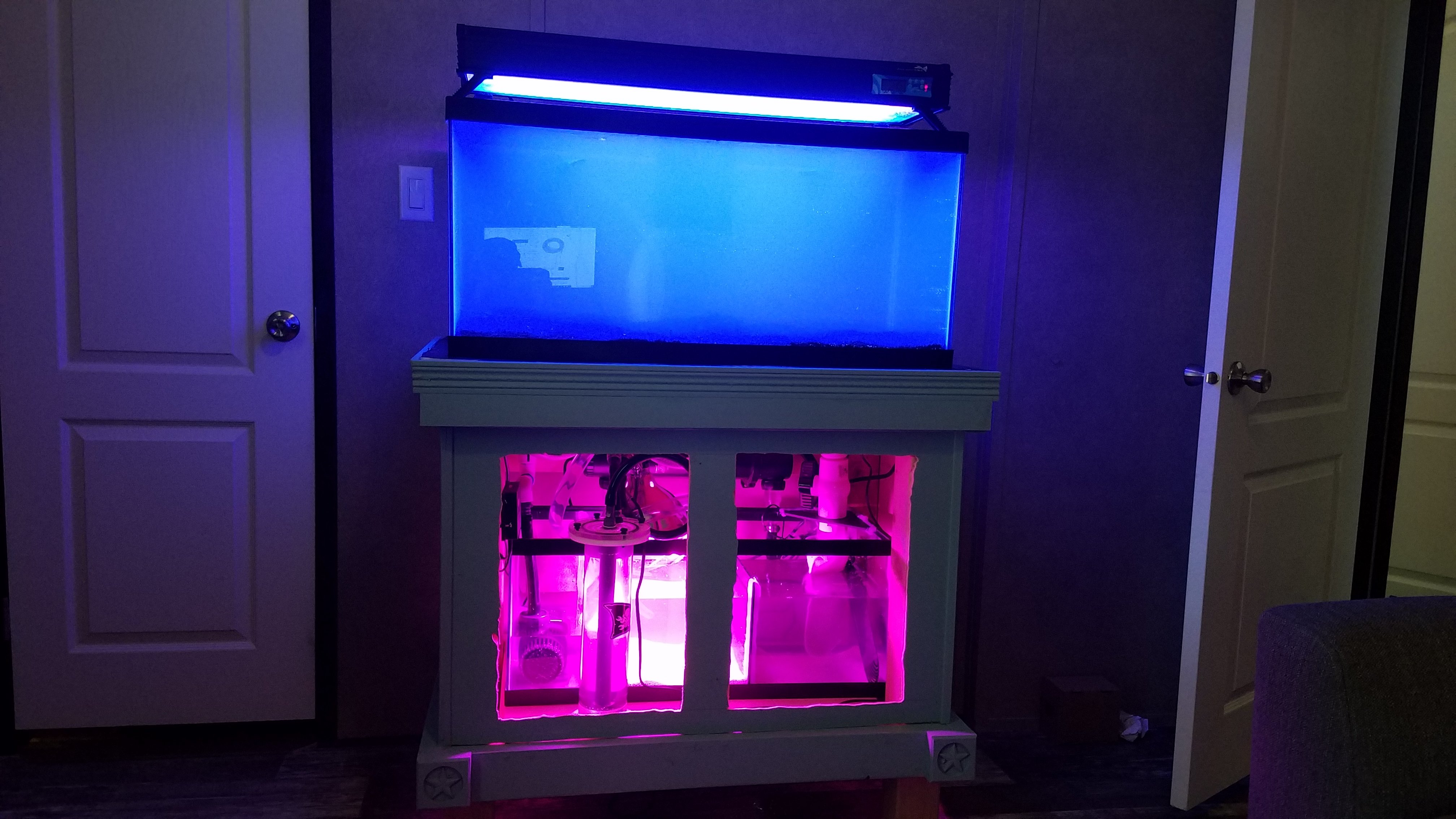 Matt's 40 Breeder - Tank Builds - Austin Reef Club