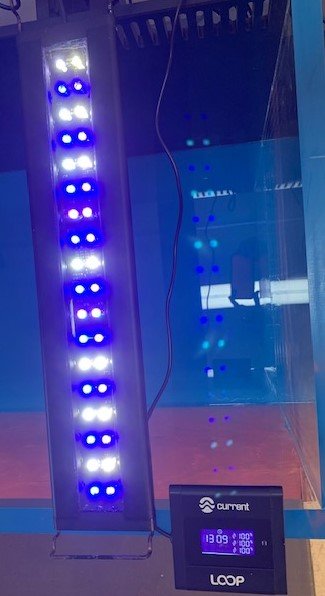 Current USA Orbit Marine LED Lights IC Loop - SOLD - Hardware - Austin ...