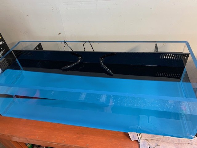Advanced Acrylics Custom AIO Show Tank - [sold] - Complete Systems ...