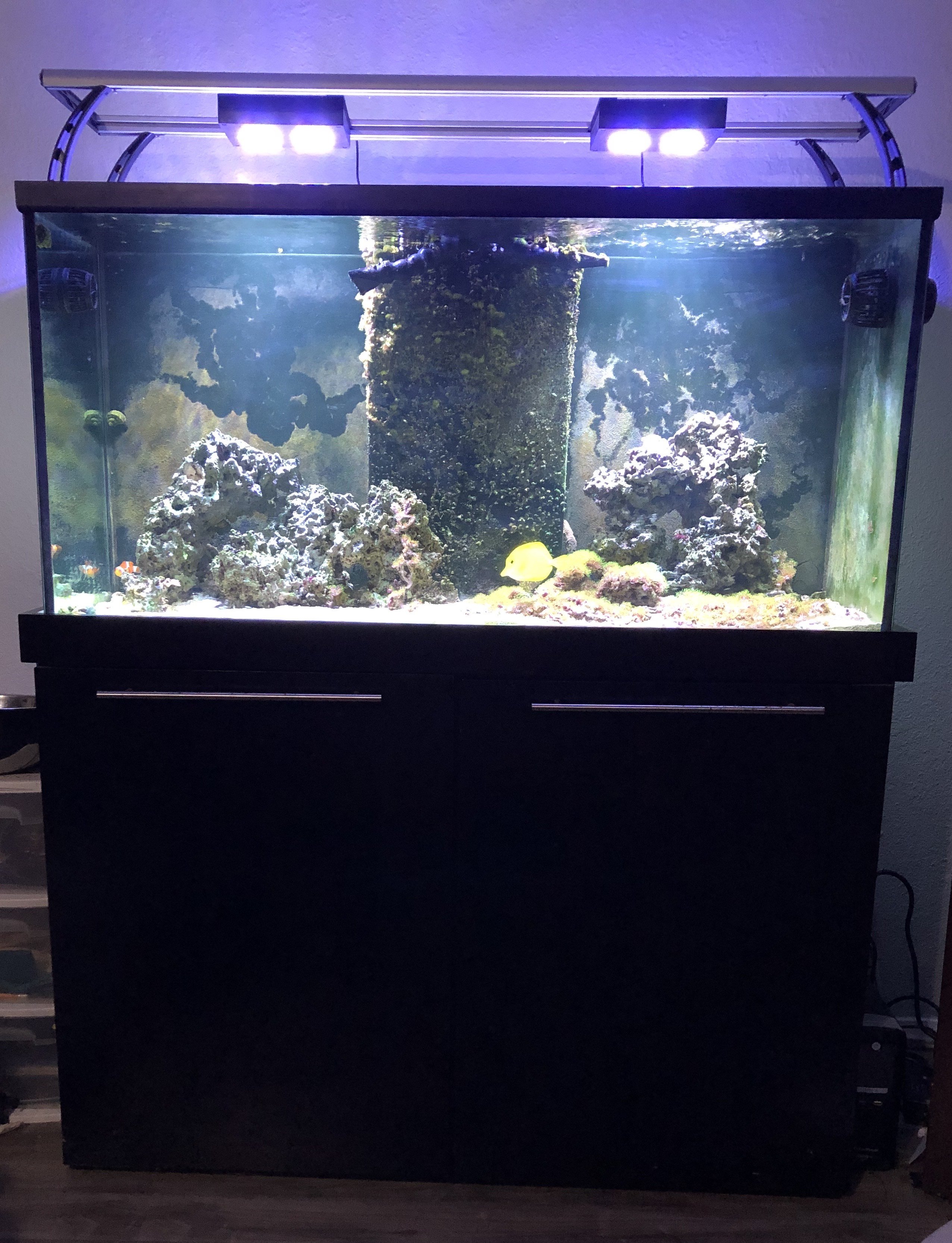 Complete 90gl Planet Aquarium. I have got to get it out of here ASAP ...