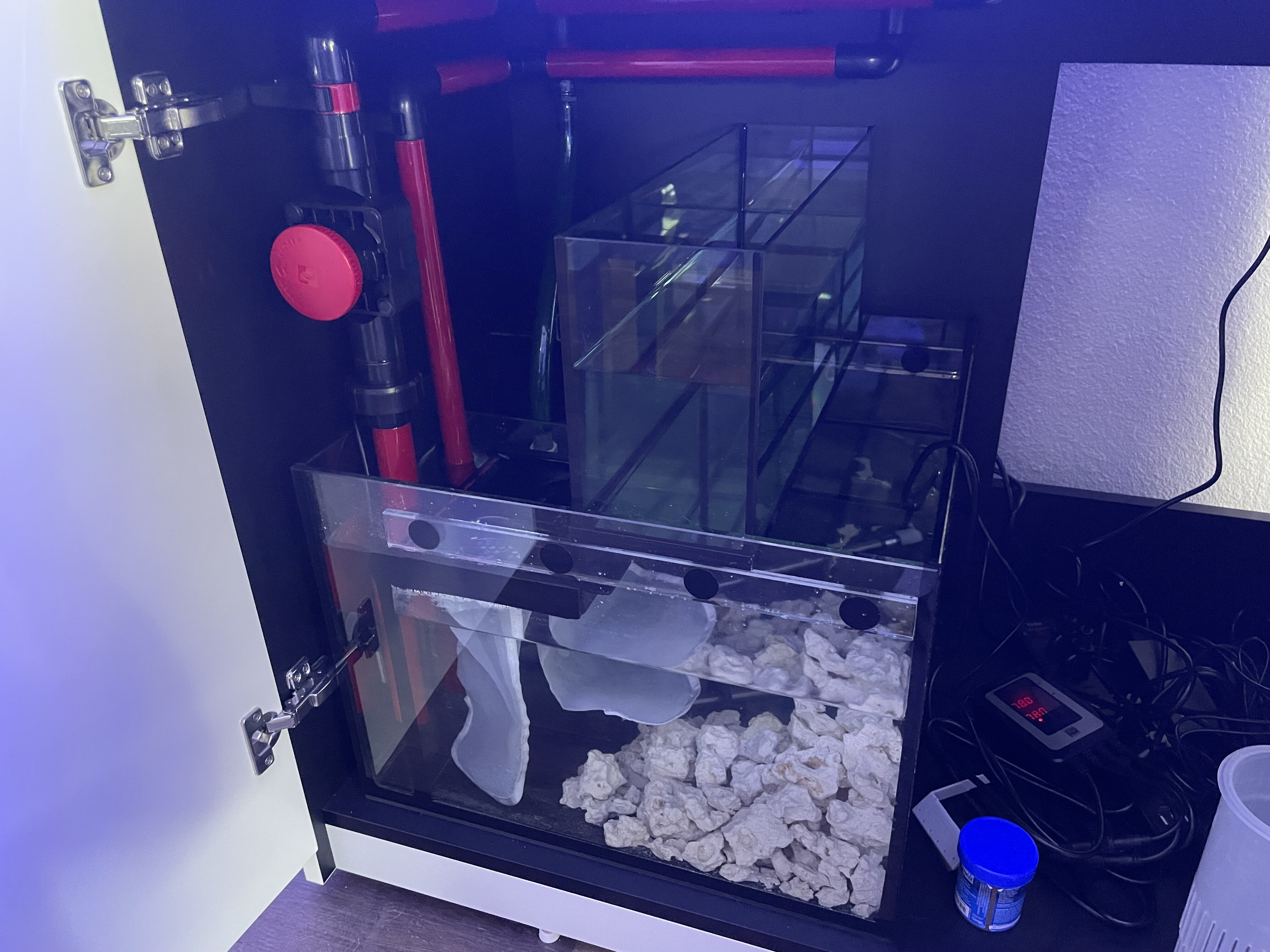 Red Sea Reefer 300 Build - Tank Builds - Austin Reef Club