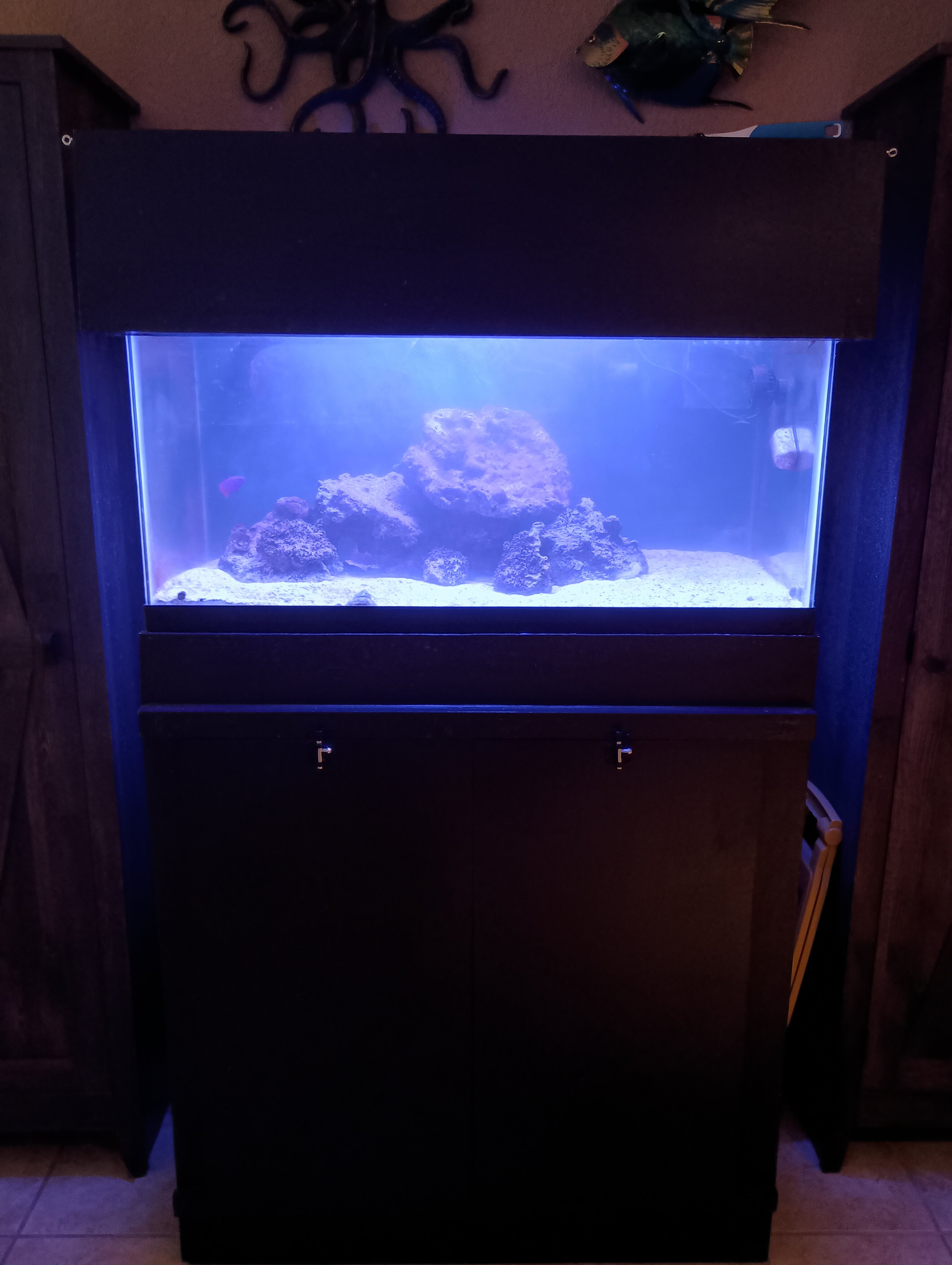 40 Breeder Build - Tank Builds - Austin Reef Club
